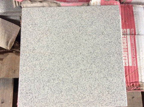 Tile Ceramic - Granitogres - Speckled House Sparrow Egg Grey ...