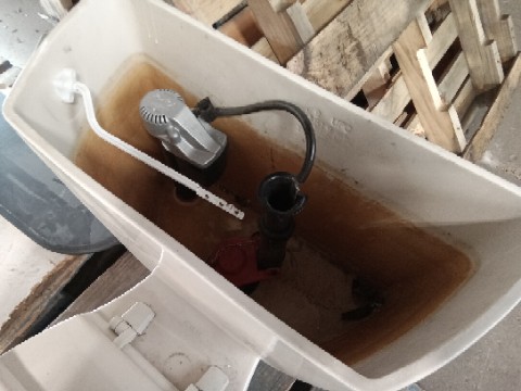 Toilet - Cream Kohler Low Flow Toilet - Construction Junction